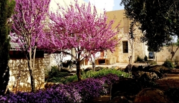 Moshavim - Farms & villas for sale