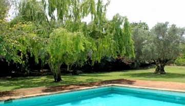 Moshavim - Farms & villas for sale