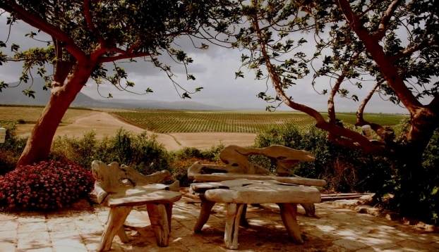 Moshavim - Farms & villas for sale